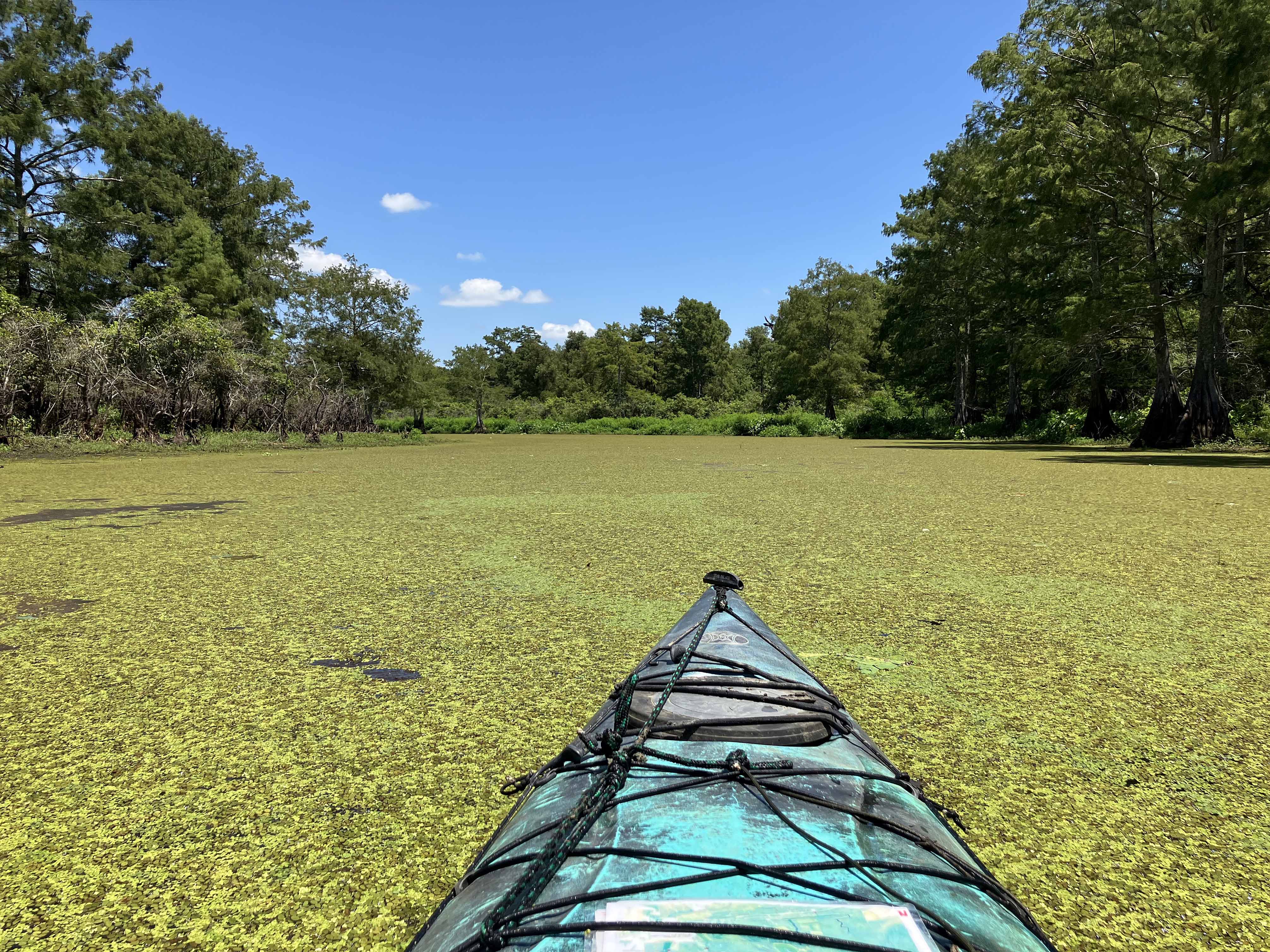 Spring Bayou WMA A – www.SawdustRiver.com