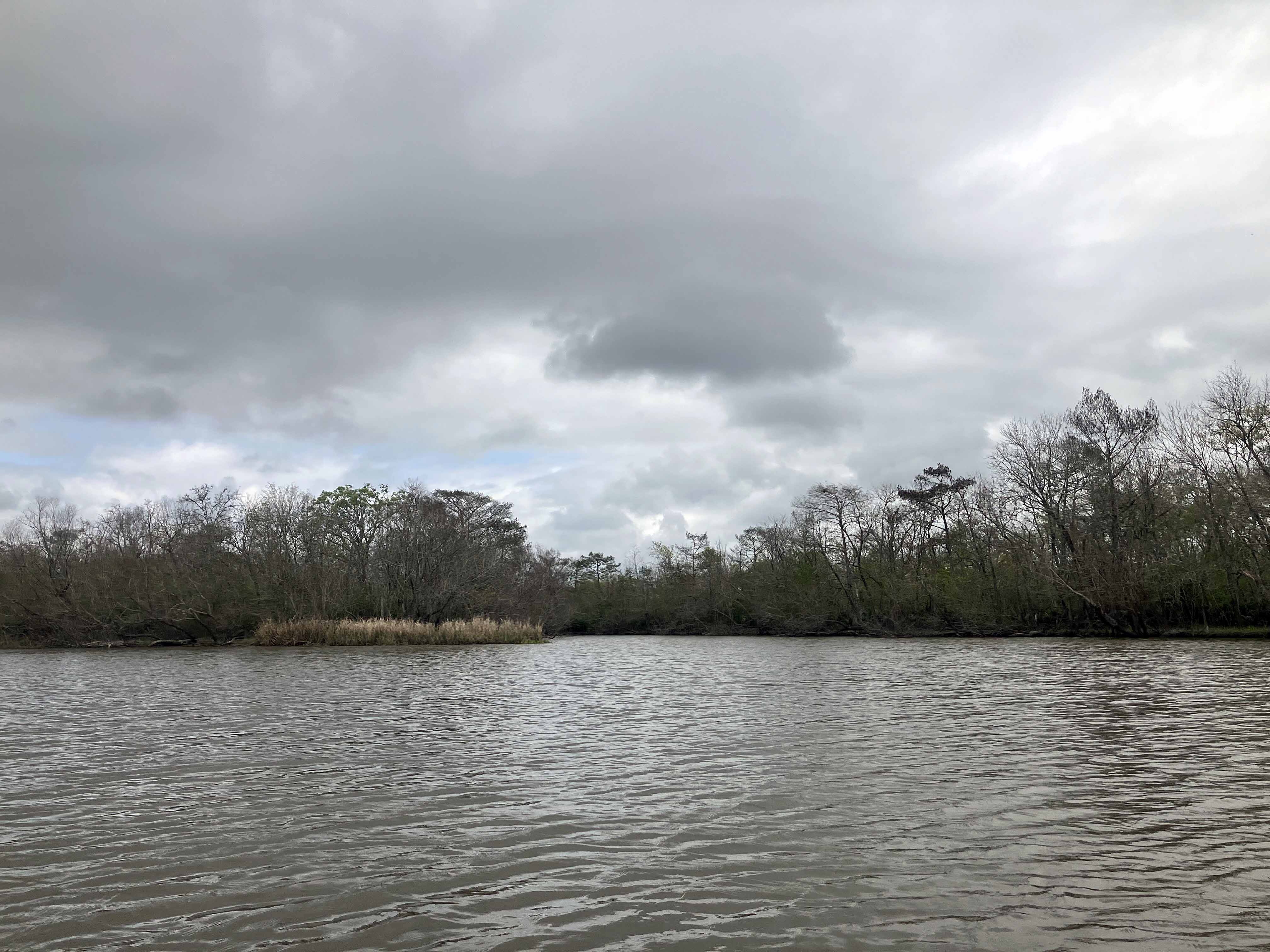 Picketts Bayou, Trinity River NWR, The Cutoff – www.SawdustRiver.com