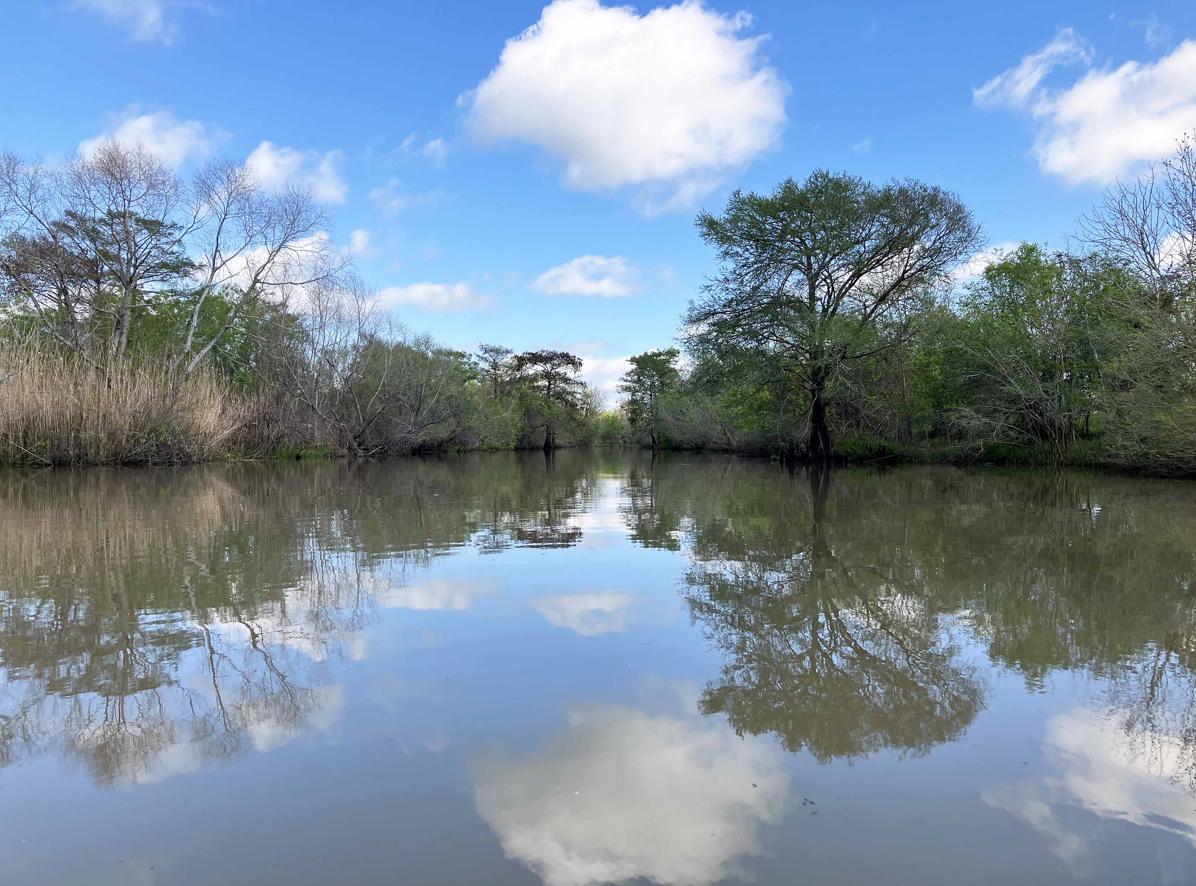 Trinity River, Lost Lake, Lost River, Hugo Point Park A – www ...