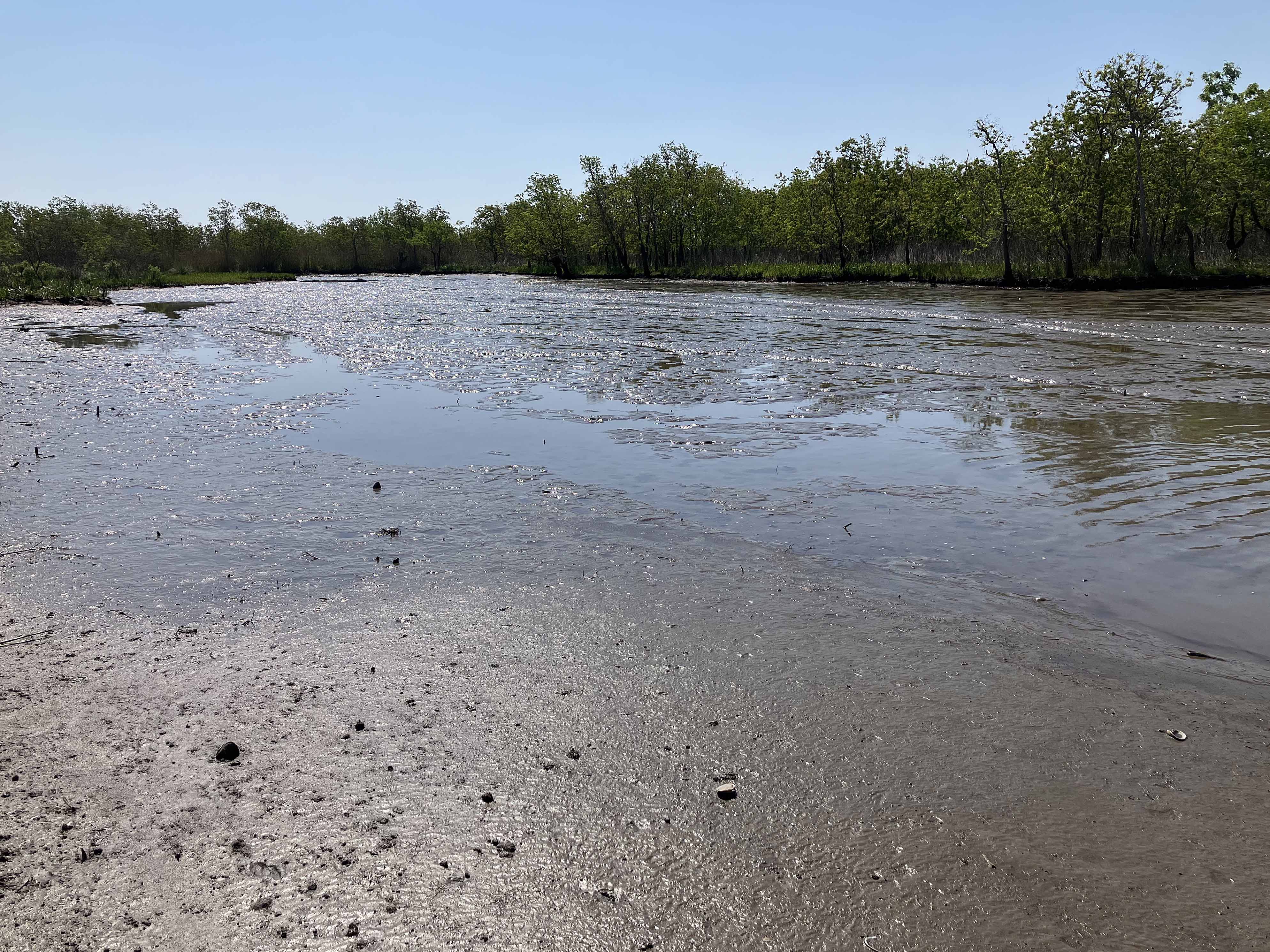 3 Texas South, Houston Galveston Area – www.SawdustRiver.com