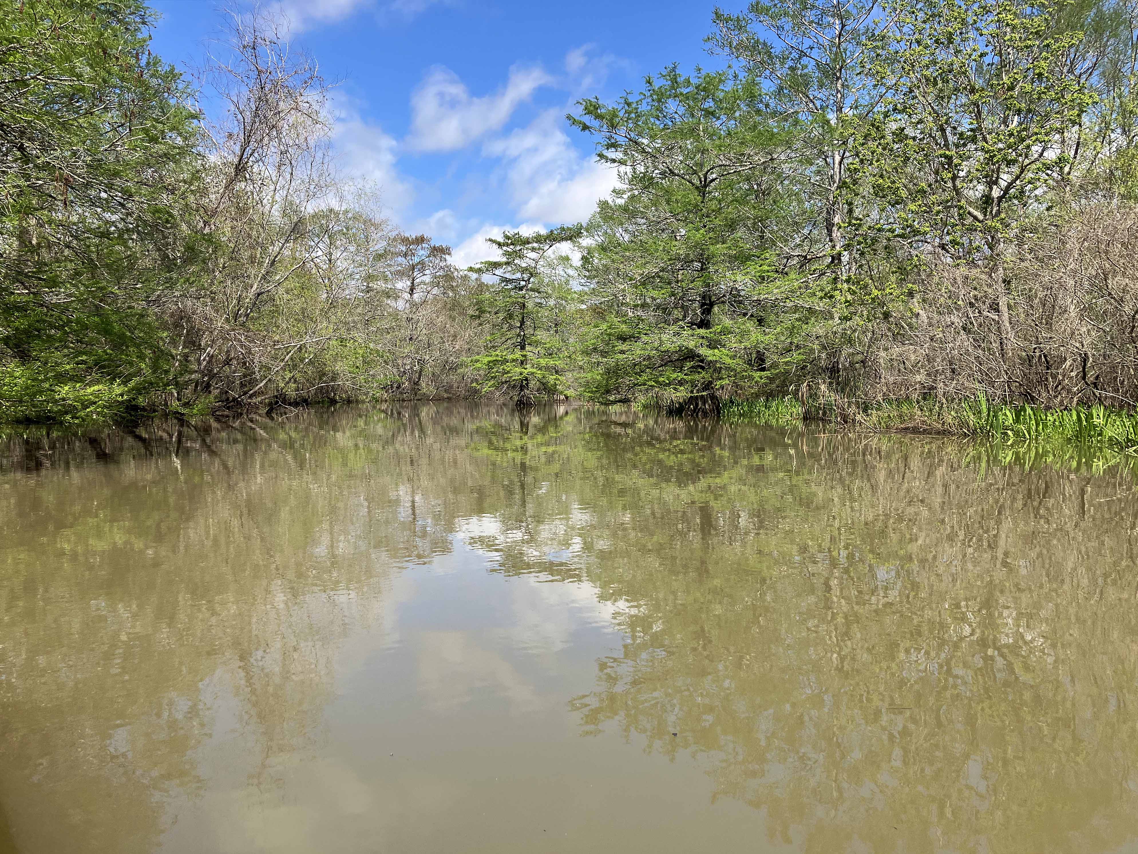 Trinity River, Lost Lake, Lost River, Hugo Point Park A – www ...